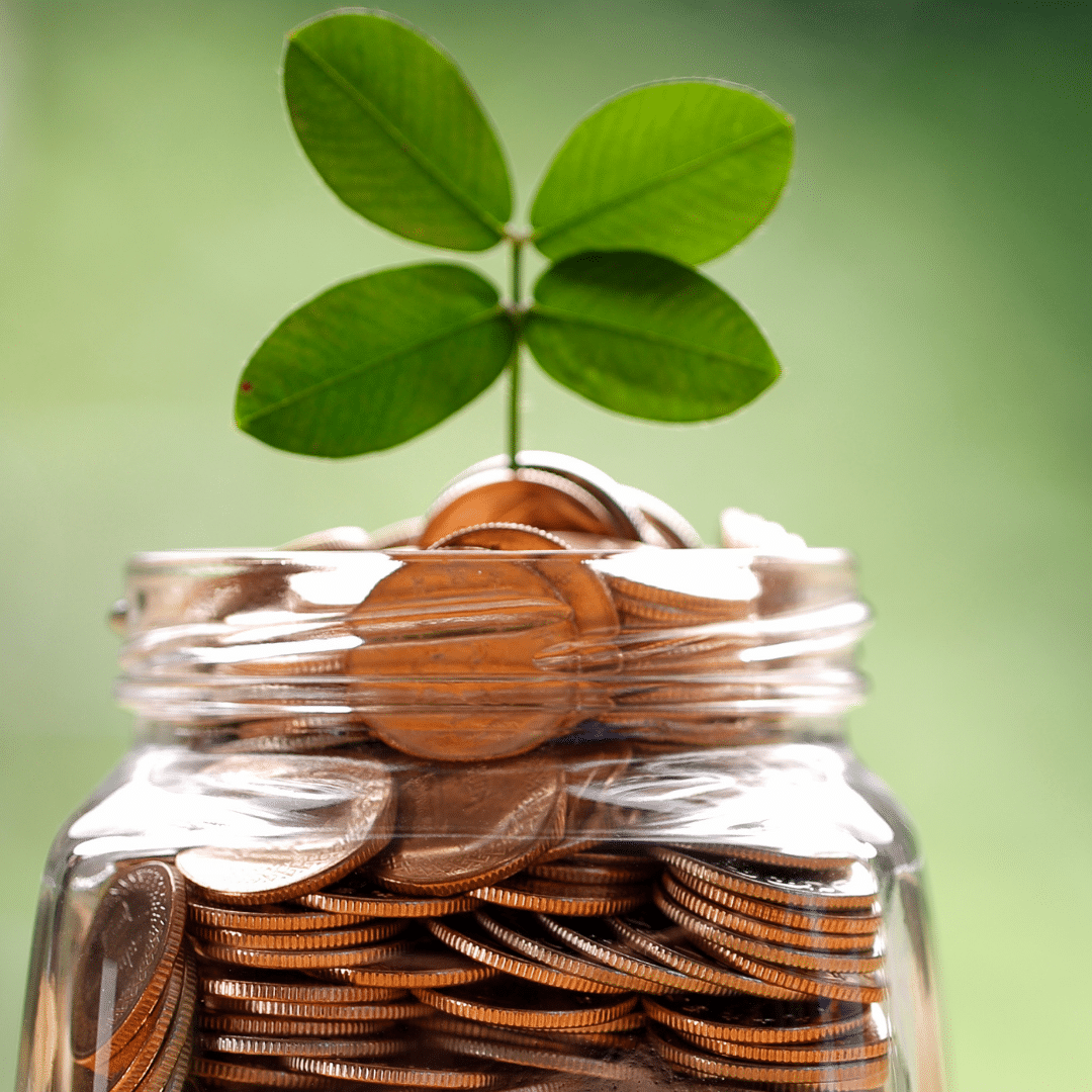 Simple Liquidation: Liquidate Solvent or Insolvent Companies