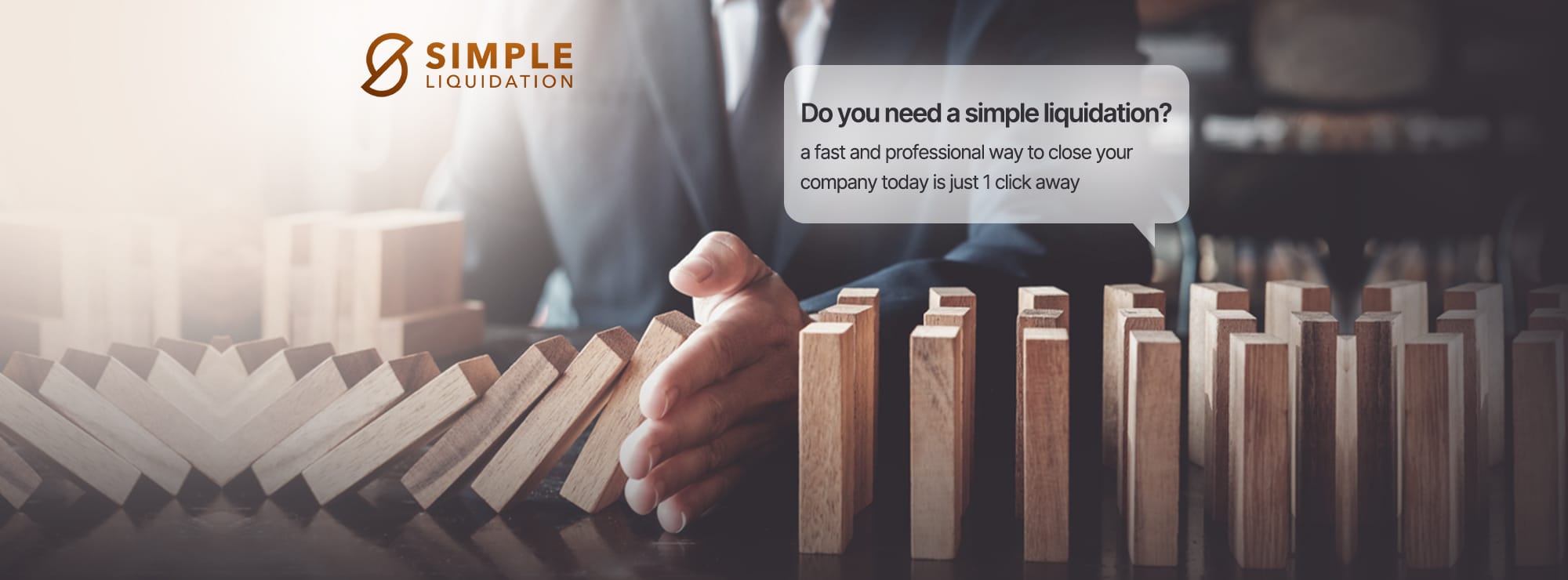 What is the Role and Purpose of Voluntary Solvent Liquidation